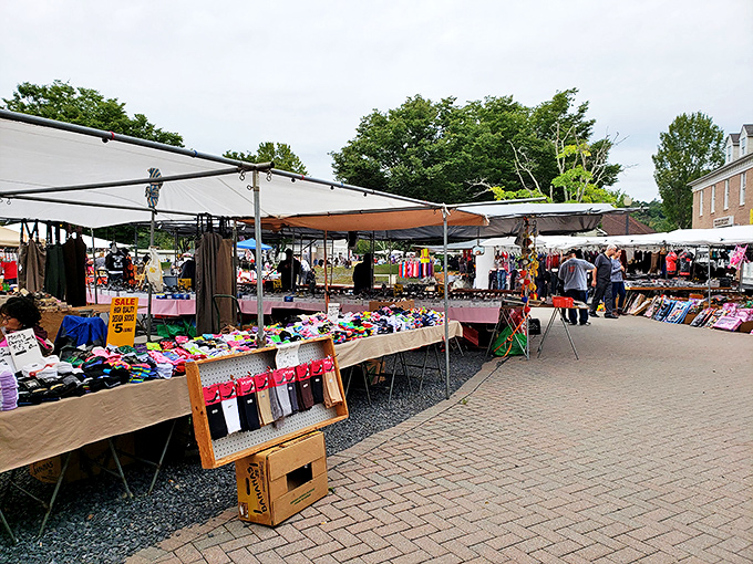 Sock heaven or vintage vinyl? At Pocono Bazaar, tables overflow with everyday essentials and unexpected collectibles waiting to be discovered.