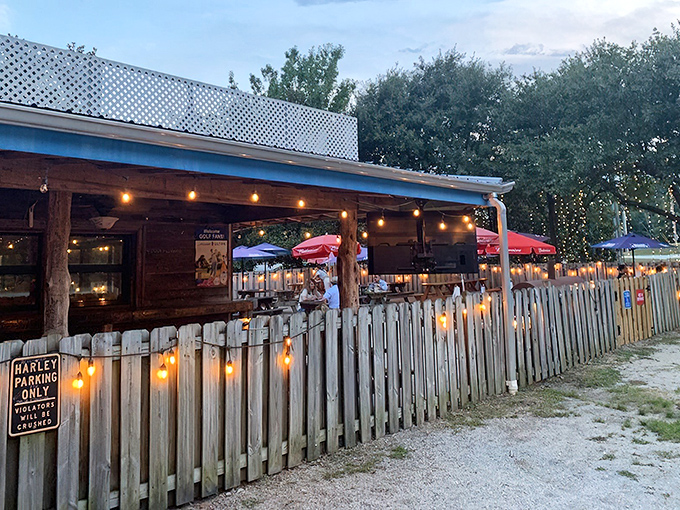 When the string lights come on, the magic happens: crispy fried seafood under the stars tastes twice as good.