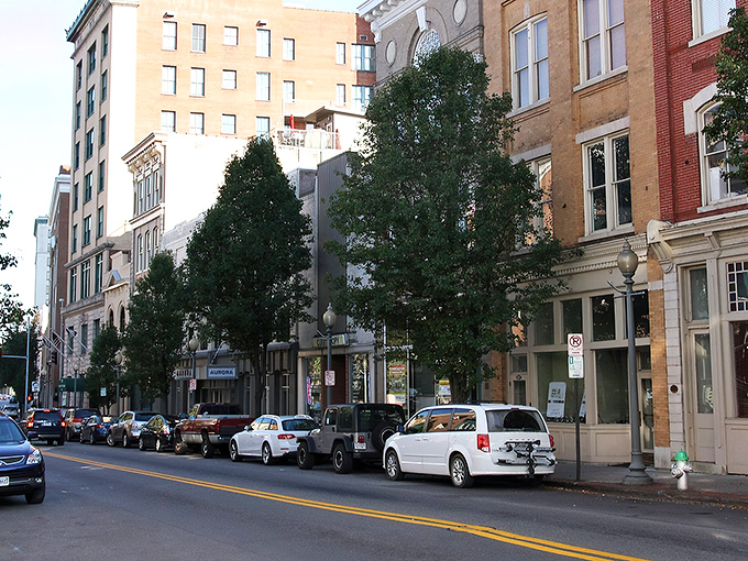 Tree-lined streets create natural canopies over Roanoke's charming blend of old and new architecture.