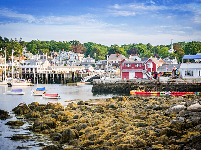 Harbor reflections create a mirror world where fishing boats float twice as beautifully.