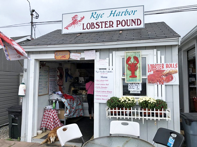 That red lobster sign isn't just decoration - it's a promise of the fresh delights waiting inside.