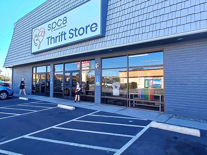 Blue skies and big deals await at this pet-friendly thrift paradise. Your wallet and furry friends thank you!