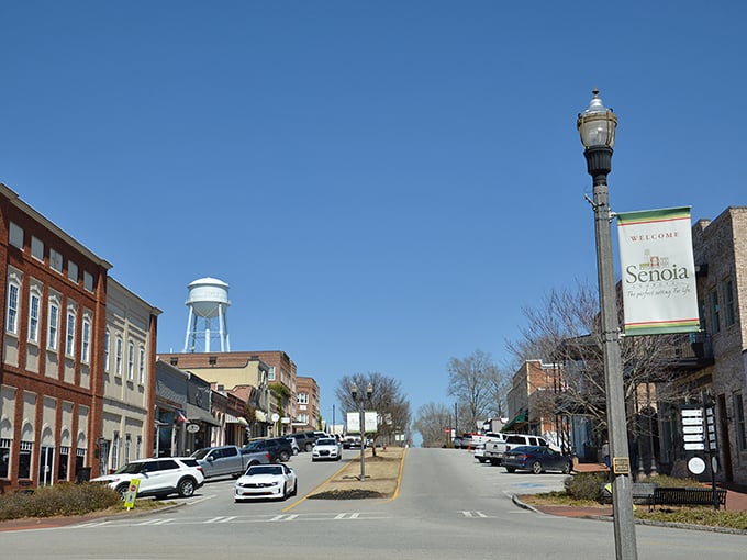 The iconic water tower watches over Senoia like a proud parent, while historic storefronts invite you to explore.