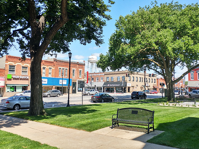 Shady trees frame Seward's town square, where park benches invite you to slow down. The perfect spot for people-watching with your morning coffee.