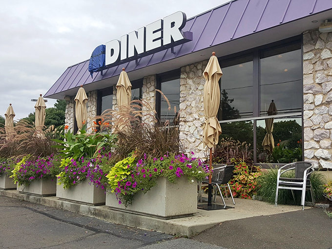 Colorful planters and welcoming patios prove that great diners know presentation matters too.