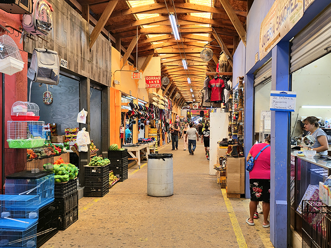 Indoor market magic unfolds under these beams, creating shopping adventures that stretch for delightful miles.
