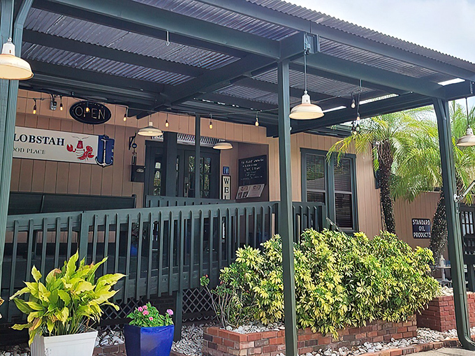 Step onto this wooden deck and prepare for a New England vacation for your taste buds. Maine vibes in the Florida sunshine!