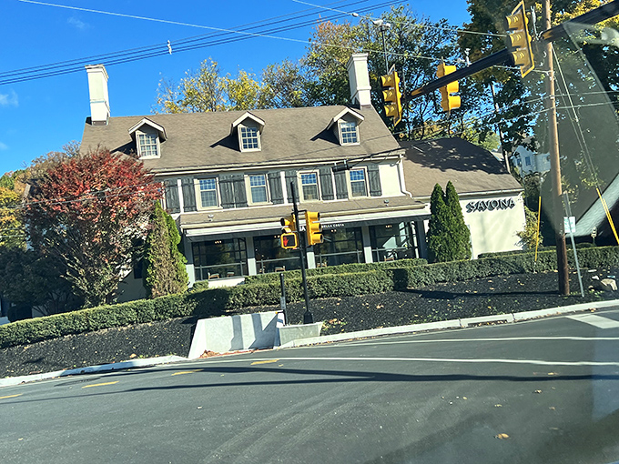 Fall foliage frames this charming converted farmhouse, where Italian culinary traditions meet Main Line sophistication at a busy intersection.
