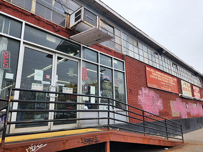 Behind these industrial windows lies a wonderland where vintage dreams come true affordably.