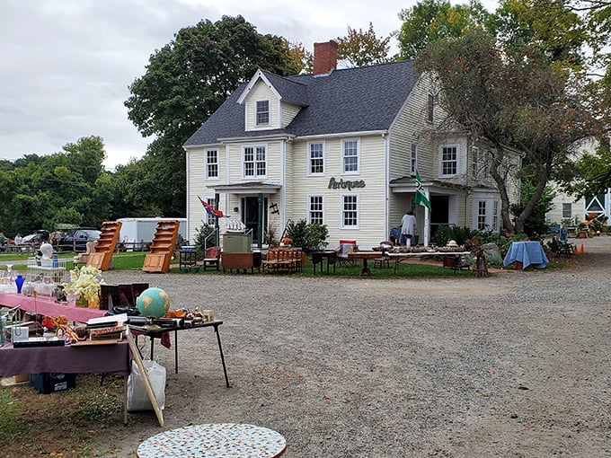 That classic New England colonial watches over bargain hunters like a patient grandmother at her estate sale.