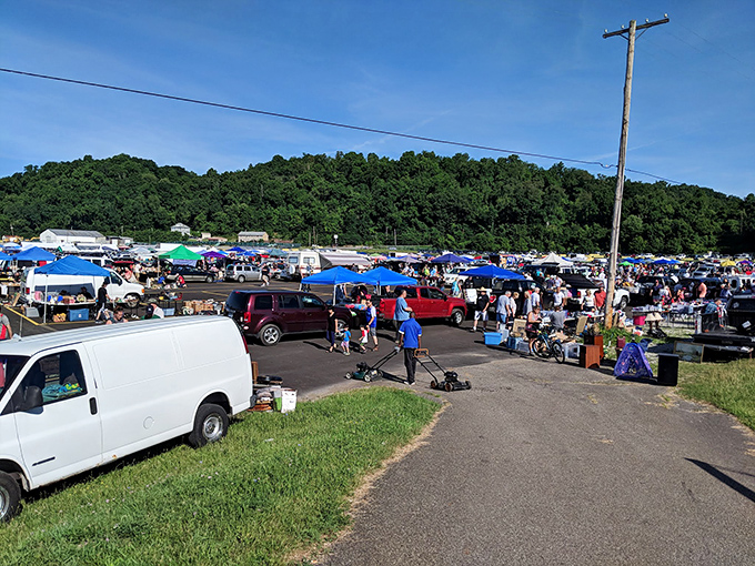 Early birds gather where deals bloom like wildflowers across this sprawling outdoor marketplace wonderland.