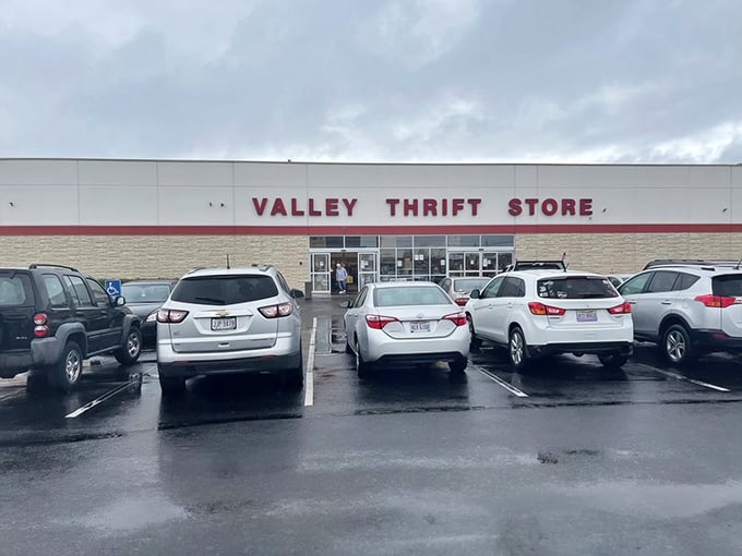 Look at that parking lot - when thrift shoppers pack a place this tight, you know treasures await inside.