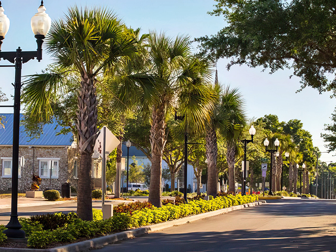 These tree-lined boulevards whisper stories of simpler times when neighbors actually knew each other.