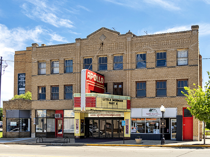 The Apollo Theatre's vintage marquee stands as Princeton's cultural crown jewel, a genuine historic cinema that's survived television, multiplexes, and streaming services with old-school charm intact.