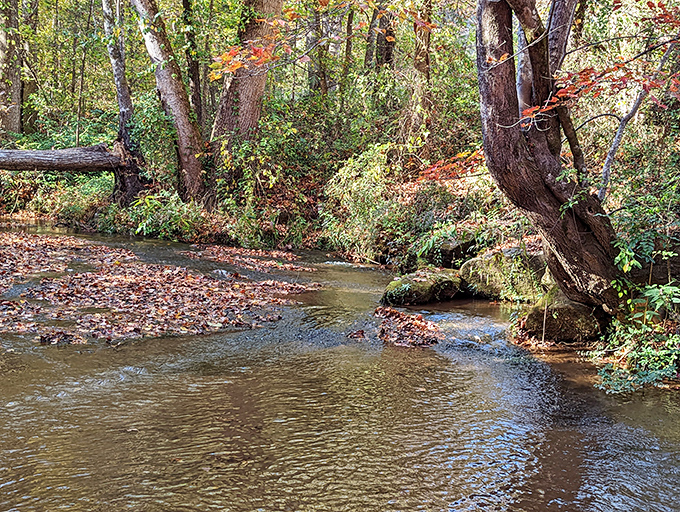 Step inside the time machine &ndash; Campbell's Covered Bridge welcomes visitors with rustic charm and wooden railings that have witnessed over a century of footsteps.