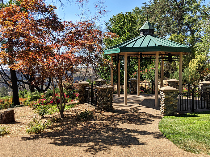Autumn magic at Bille Park's gazebo. This tranquil spot offers a perfect respite for contemplation, proving Paradise knows how to frame its natural beauty.