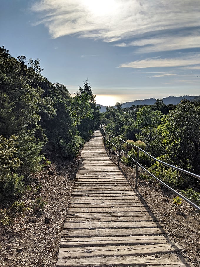 This wooden boardwalk isn't just a trail&mdash;it's nature's red carpet, inviting you to a premiere showing of Pacific Ocean views.