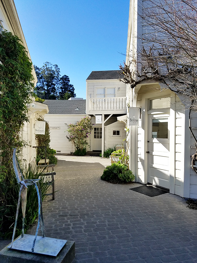 The Bolinas Museum courtyard feels like stepping into a coastal novel – whitewashed buildings bathed in California sunshine, inviting quiet exploration.