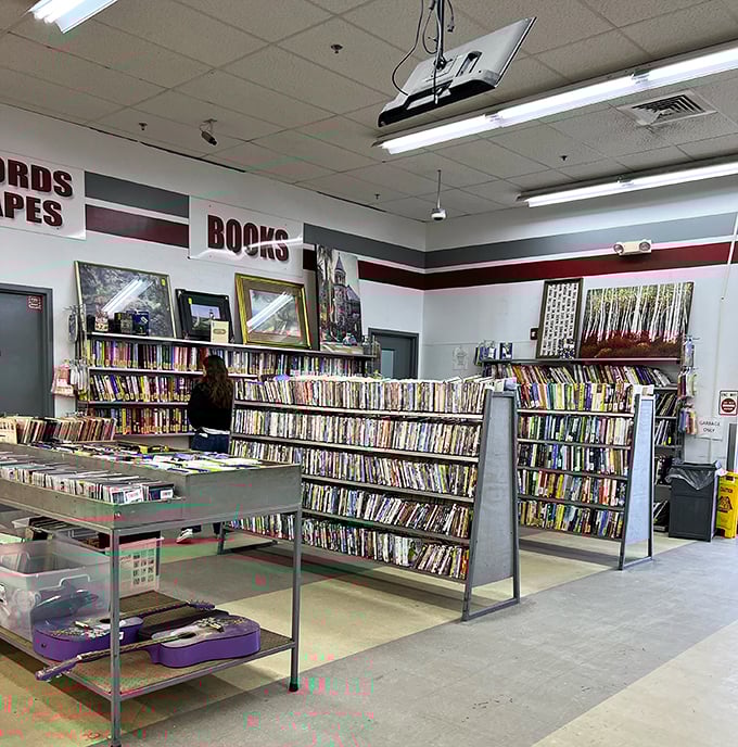 Not just books, but entire literary universes waiting to be rediscovered. Stephen King rubs shoulders with Julia Child in this bibliophile's dream.