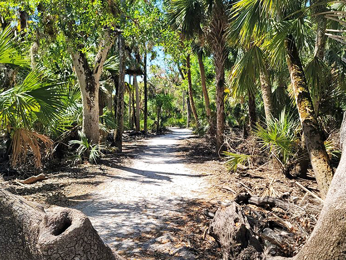 Palm-lined trails invite you to wander where the Wi-Fi is weak but the connection to nature is five bars strong.