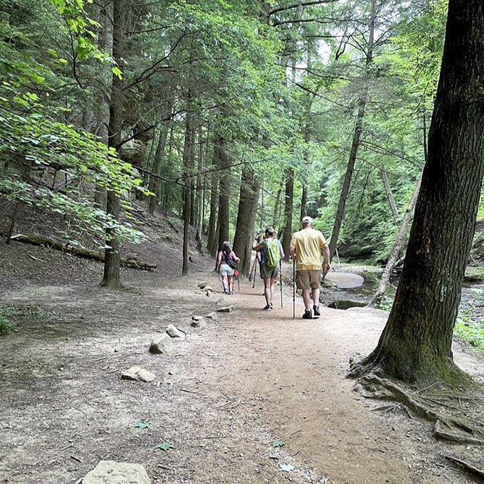 The trail to enlightenment? Maybe not, but the path to Cedar Falls offers its own kind of spiritual renewal among towering hemlocks and whispered forest secrets.