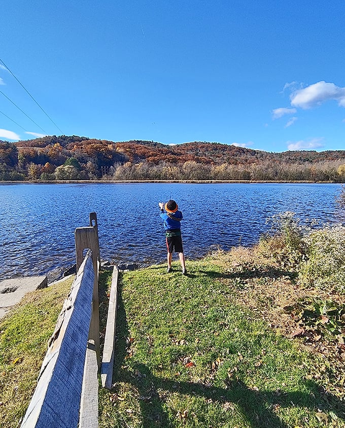 This lakeside spot makes you wonder why anyone pays for waterfront dining when nature provides the ambiance free.