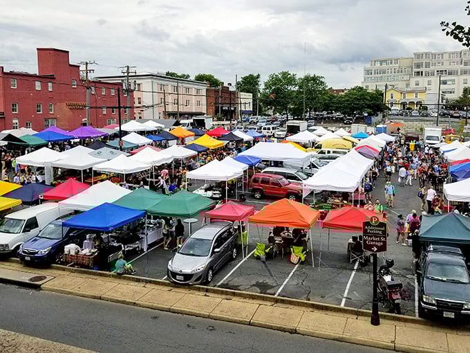 The Saturday City Market transforms an ordinary parking lot into a vibrant tapestry of local flavors, where retirees chat with farmers they know by name.