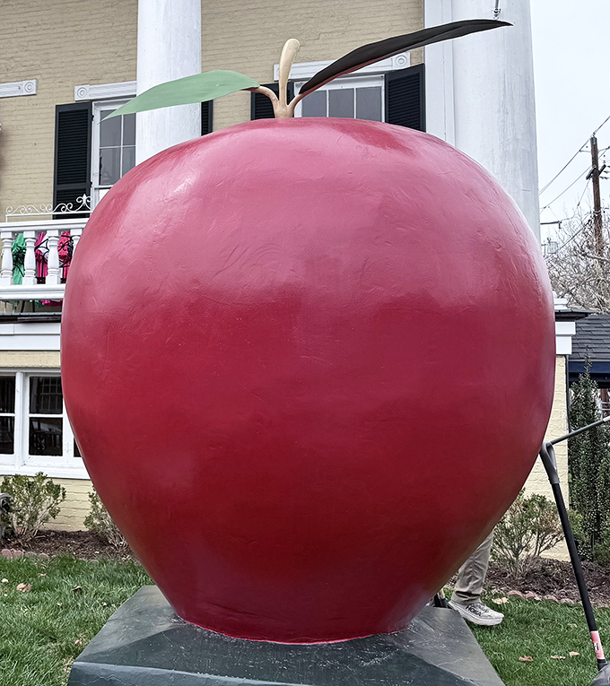 Up close, the apple's glossy finish catches the sunlight, making it look good enough to take a mythical-sized bite.