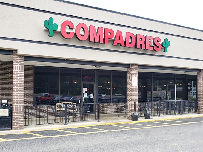 At Compadres, the neon cactus isn't just signage&mdash;it's a beacon of hope for enchilada enthusiasts seeking authentic flavors in southwestern Virginia.