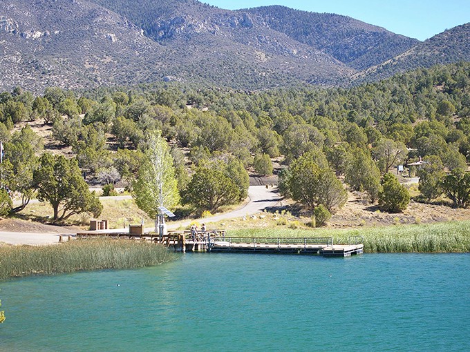 Nature's perfect dock-umentary: turquoise waters meet pine-covered hills while that wooden pier practically begs you to dangle your feet.