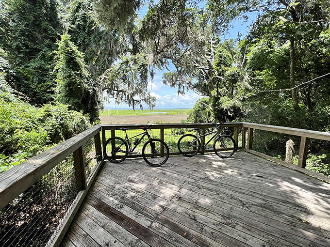 Bikes at rest, minds at peace. This wooden platform offers more than just a view&mdash;it's Florida's natural therapy session without the hourly rate.