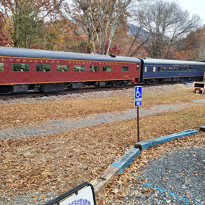 Classic rail cars await passengers at the depot, their weathered paint telling stories of countless mountain adventures.