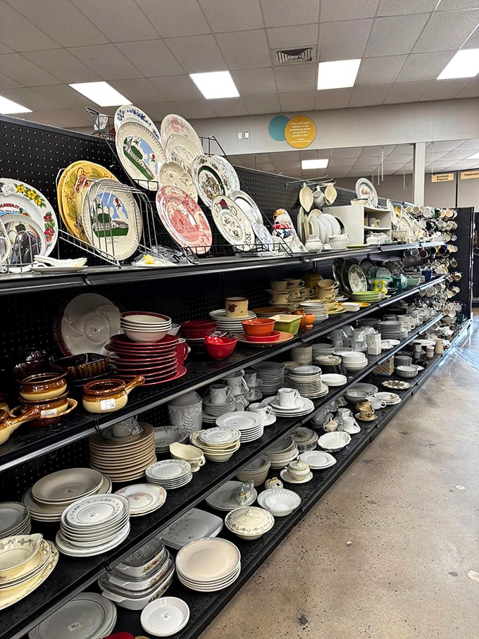 Plates with stories to tell line these shelves, waiting for second acts in new homes. Grandma's china without the inheritance drama!