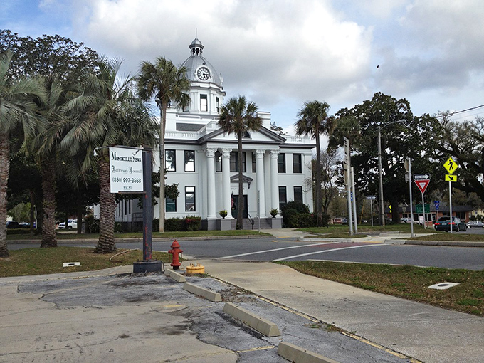 Downtown Monticello offers a postcard-perfect glimpse of small-town Florida, where palm trees meet historic architecture and the pace slows to "why rush?" territory.