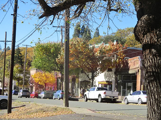 Fall transforms Dunsmuir's main street into a painter's palette of amber and gold, where even running errands feels like walking through a Norman Rockwell scene.