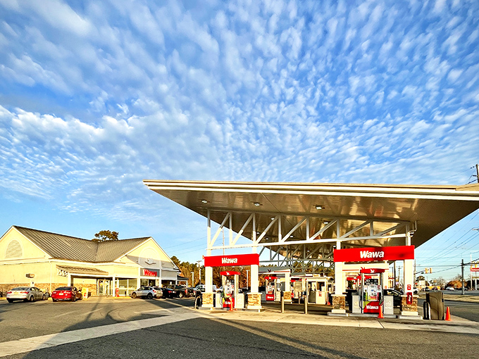 This path through the pines whispers secrets about slowing down and actually enjoying the journey for once.