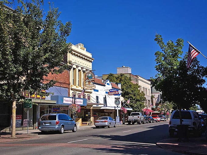 Blue skies frame Centralia's main street, where American flags flutter above shops that have weathered decades of economic storms with small-town resilience.