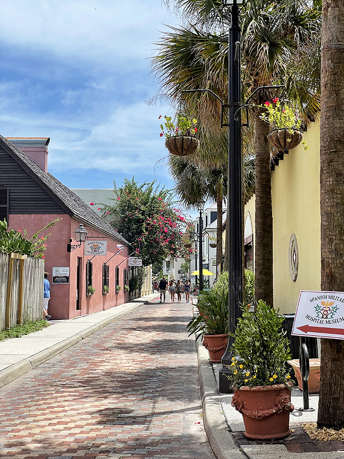 St. Augustine's charming streets invite you to wander through history, where every pastel building has witnessed centuries of Florida's colorful past.
