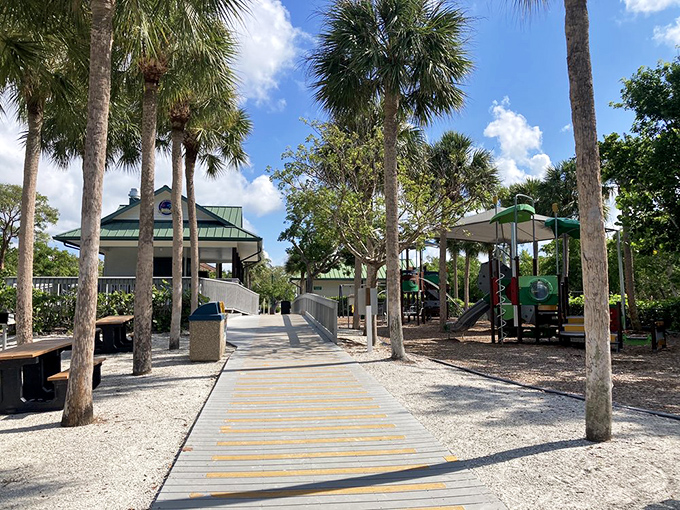 Nature's welcome committee! Palm trees stand guard over the entrance facilities, where civilization gently gives way to coastal wilderness.