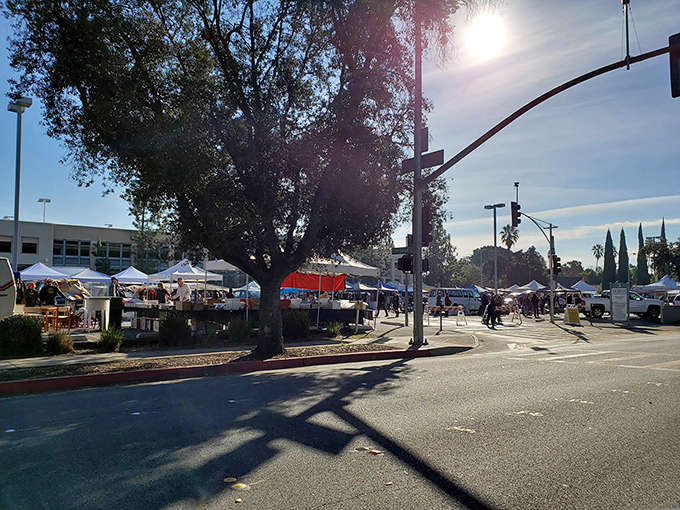 Under perfect SoCal skies, vendors set up shop along the perimeter of PCC's campus, creating an impromptu marketplace where yesterday's memories become today's discoveries.
