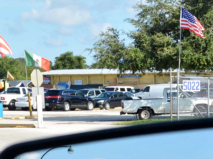 The outdoor marketplace buzzes with activity under the Florida sun. Vendors line both sides of this bargain boulevard, creating a gauntlet of deals.