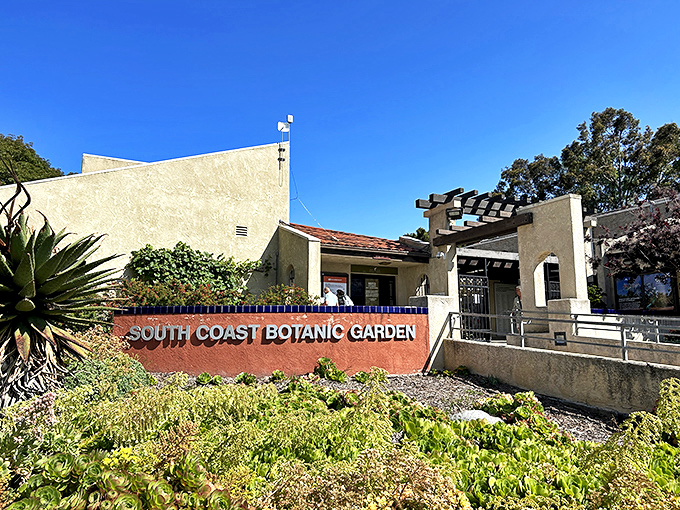 Welcome to paradise! The unassuming entrance to South Coast Botanic Garden is like that modest restaurant that serves the best meal of your life.