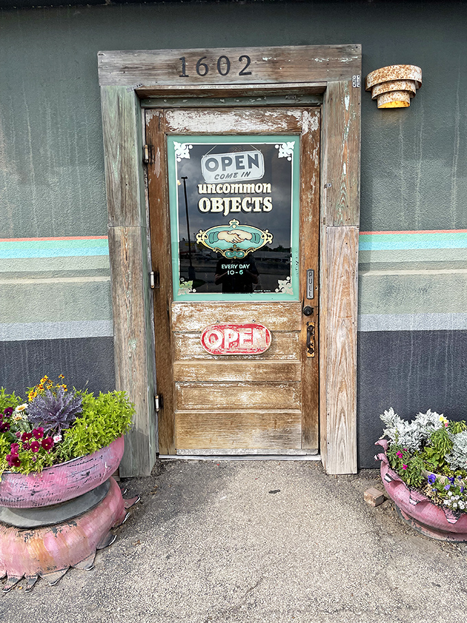 This isn't just a door&mdash;it's a time portal. Complete with vintage weathered wood and those charming repurposed tire planters that scream "creative reuse." 