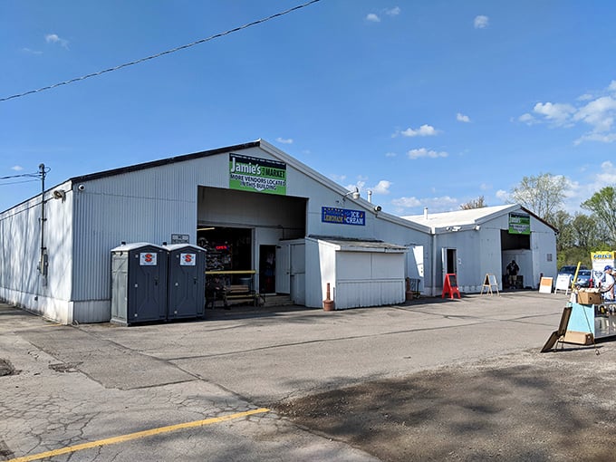 Step inside these humble doors and prepare for sensory overload. The thrill of the hunt begins where the pavement ends.