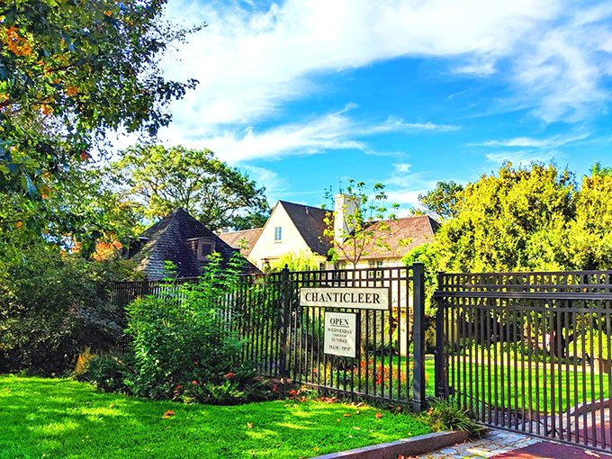 The entrance promises magic, and unlike your last online date, it actually delivers on that promise.