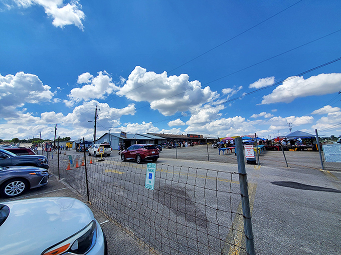 Under the watchful eye of Texas clouds, Bussey's sprawls across acres of asphalt&mdash;a kingdom of commerce where haggling is the official language.