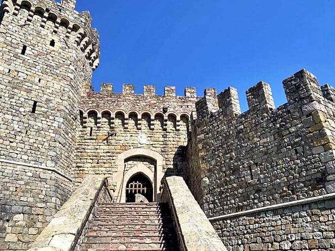 Those stairs lead to wine and wonder, assuming your knees can handle medieval architecture's idea of accessibility.