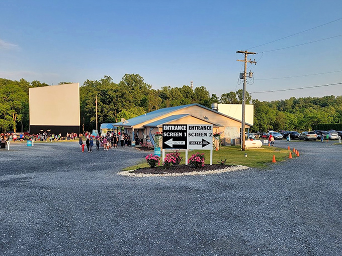 The crossroads of nostalgia and modern entertainment. Two screens, one decision—both leading to an evening of under-the-stars cinema magic.