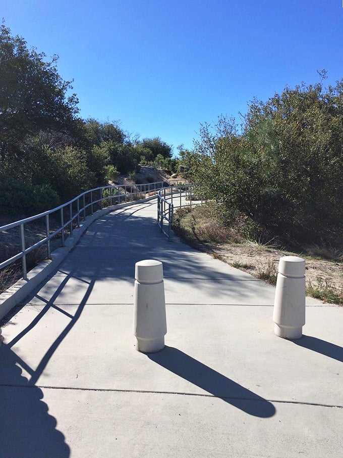 The path to paradise is paved with... well, actual pavement! This accessible walkway invites visitors of all abilities to experience the breathtaking views.