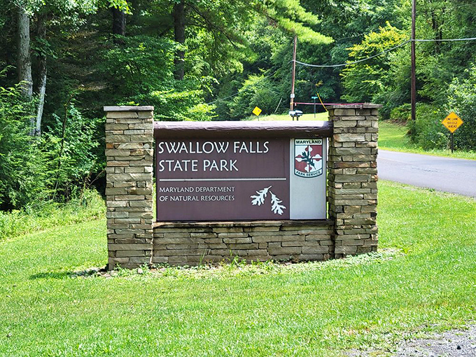 The entrance sign promises adventure, but doesn't spoil the surprises waiting inside. Like a great movie trailer that teases without revealing the best scenes.